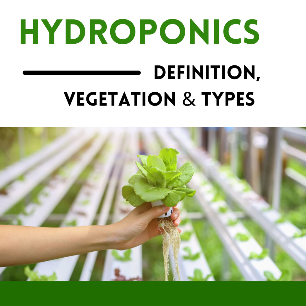 What is Hydroponics? – Food Tech Society